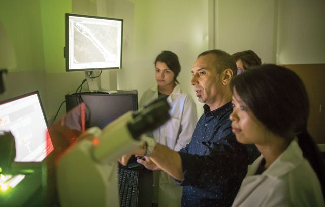 Lehigh establishes Department of Bioengineering | P.C. Rossin College ...